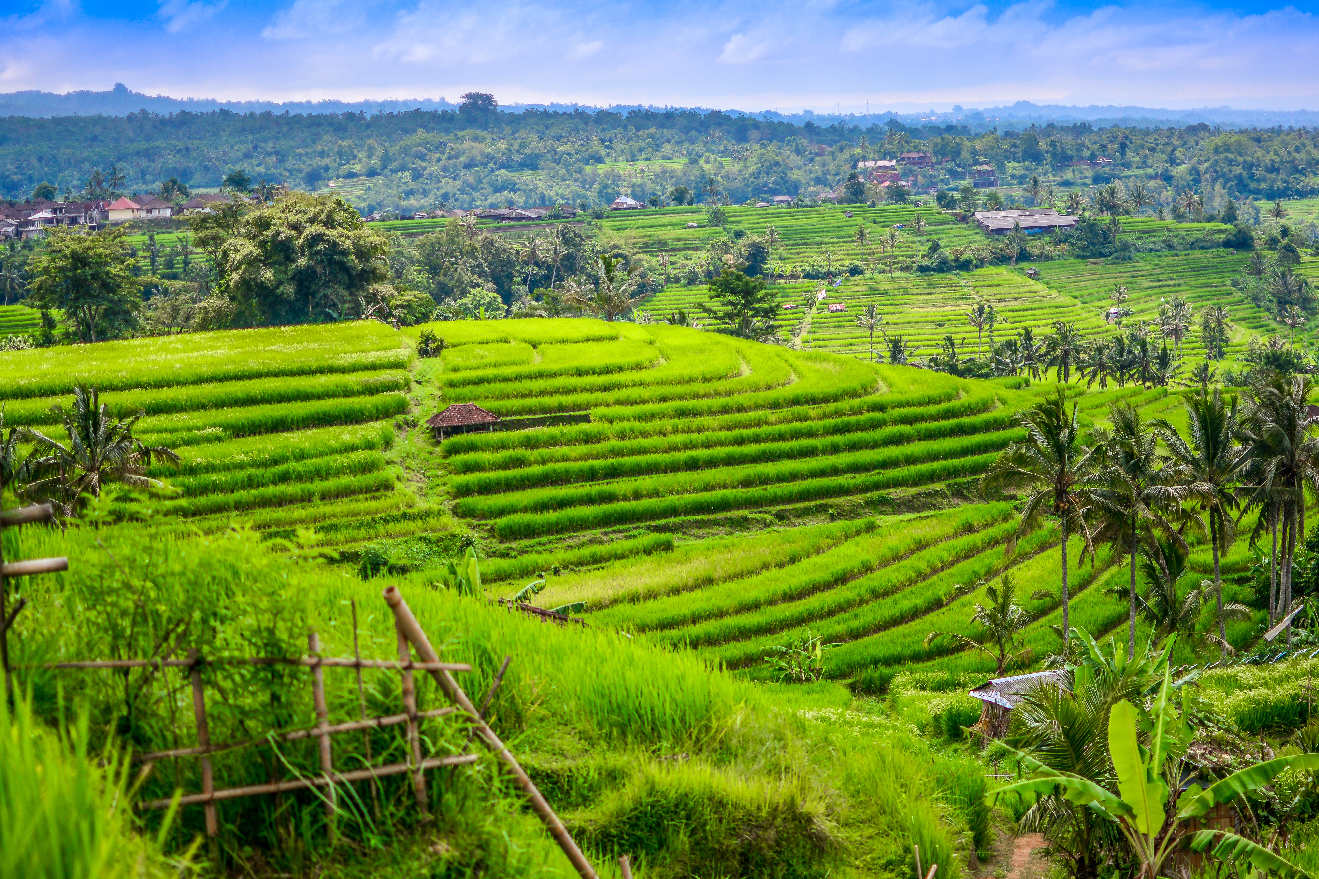 Indonésie bali ubud rizière icietlabas blog voyage blogvoyage - Ici et ...