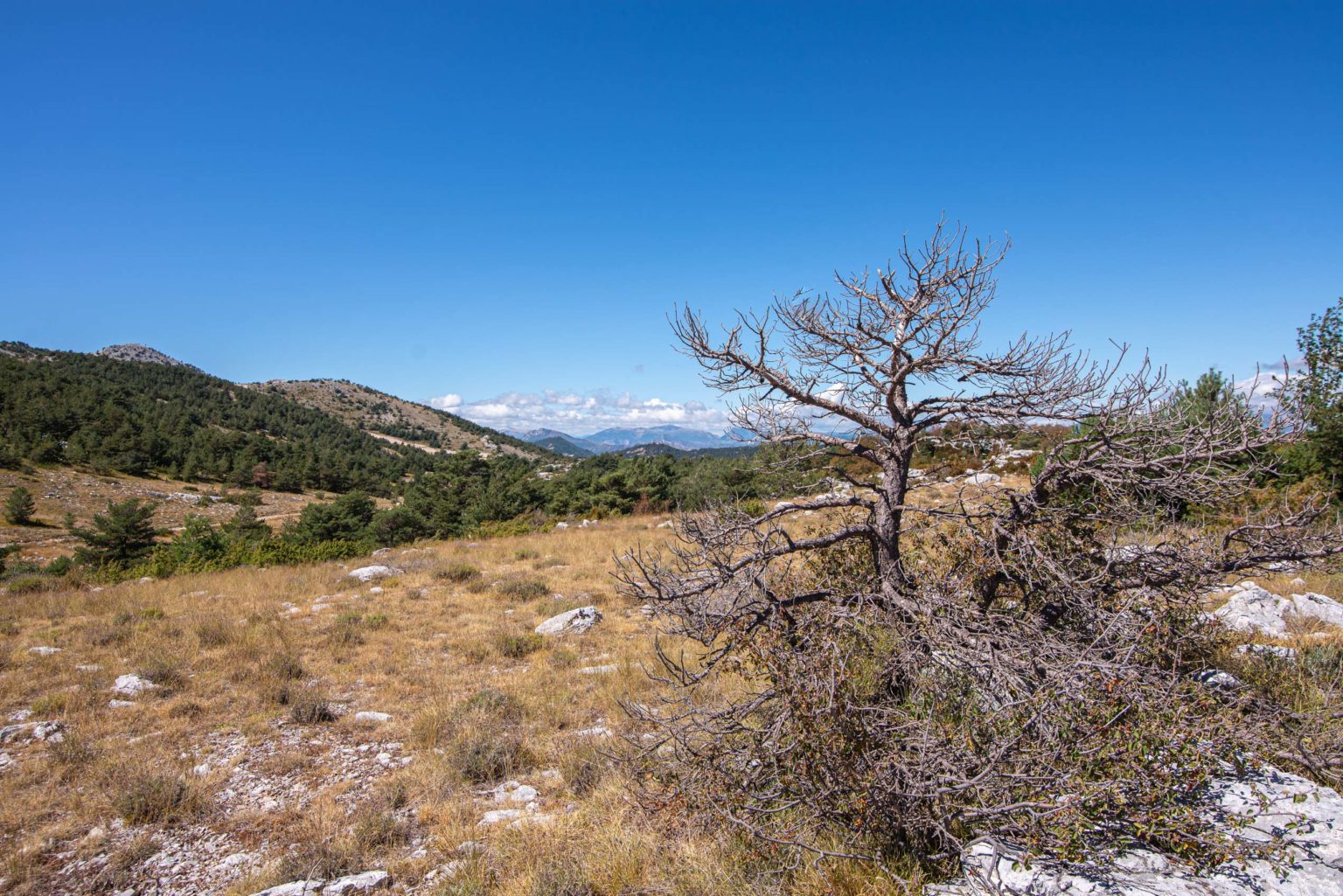 Gréolières-les-neiges en été ! - Blog de Voyage, Tutoriels Photos ...