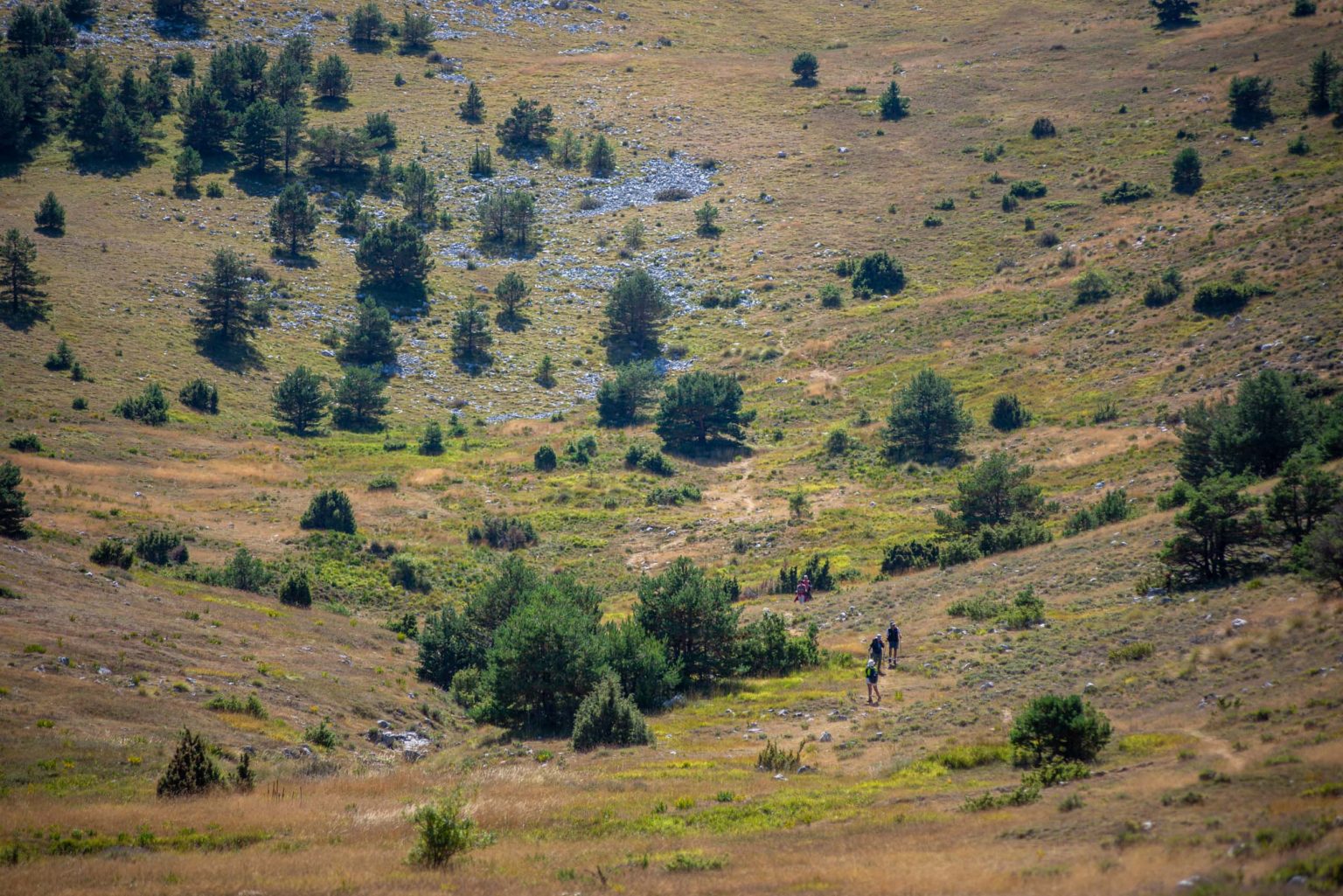 Gréolières-les-neiges en été ! - Blog de Voyage, Tutoriels Photos ...